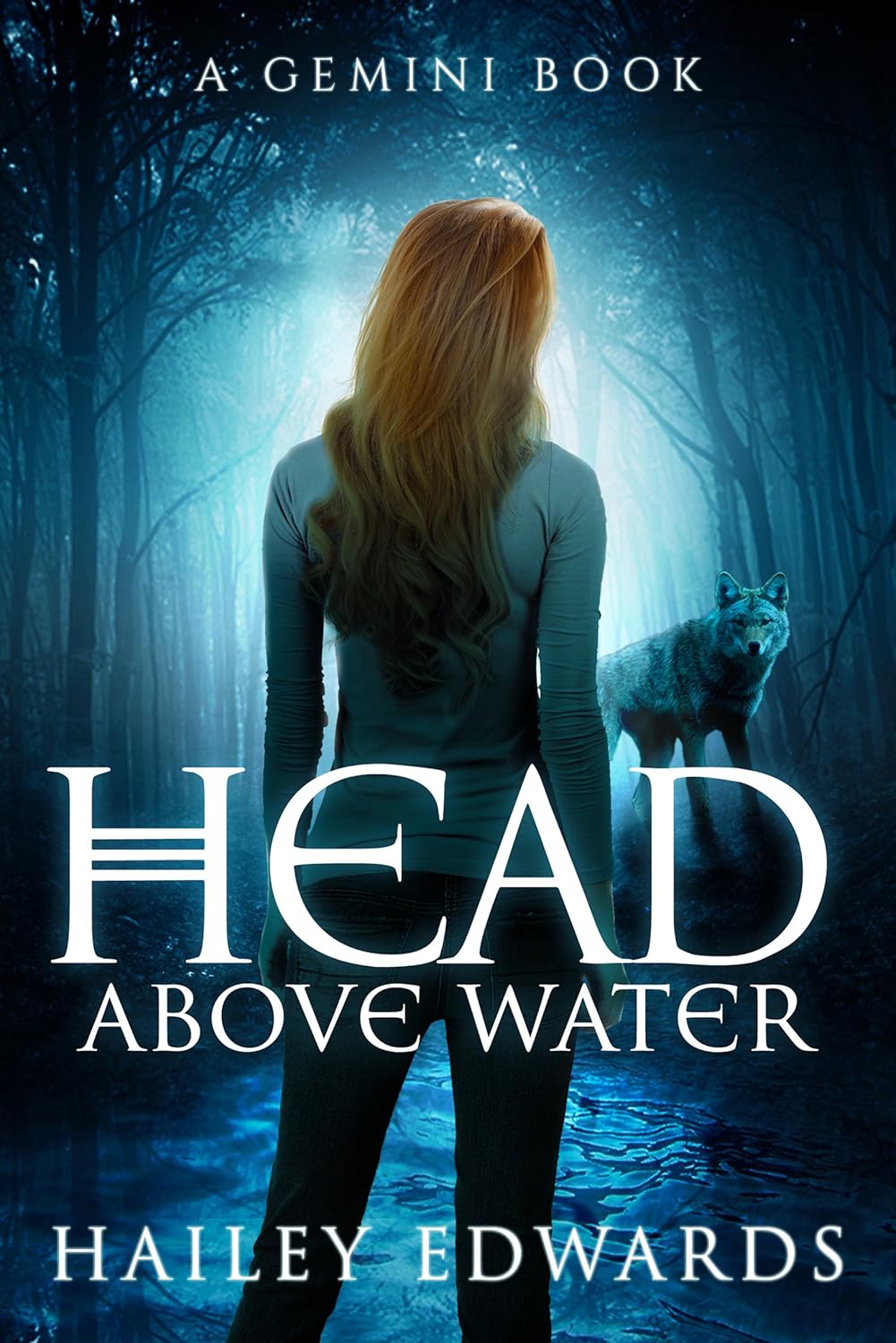 Amazon.com: Head Above Water (Gemini Series Book 2) eBook : Edwards ...