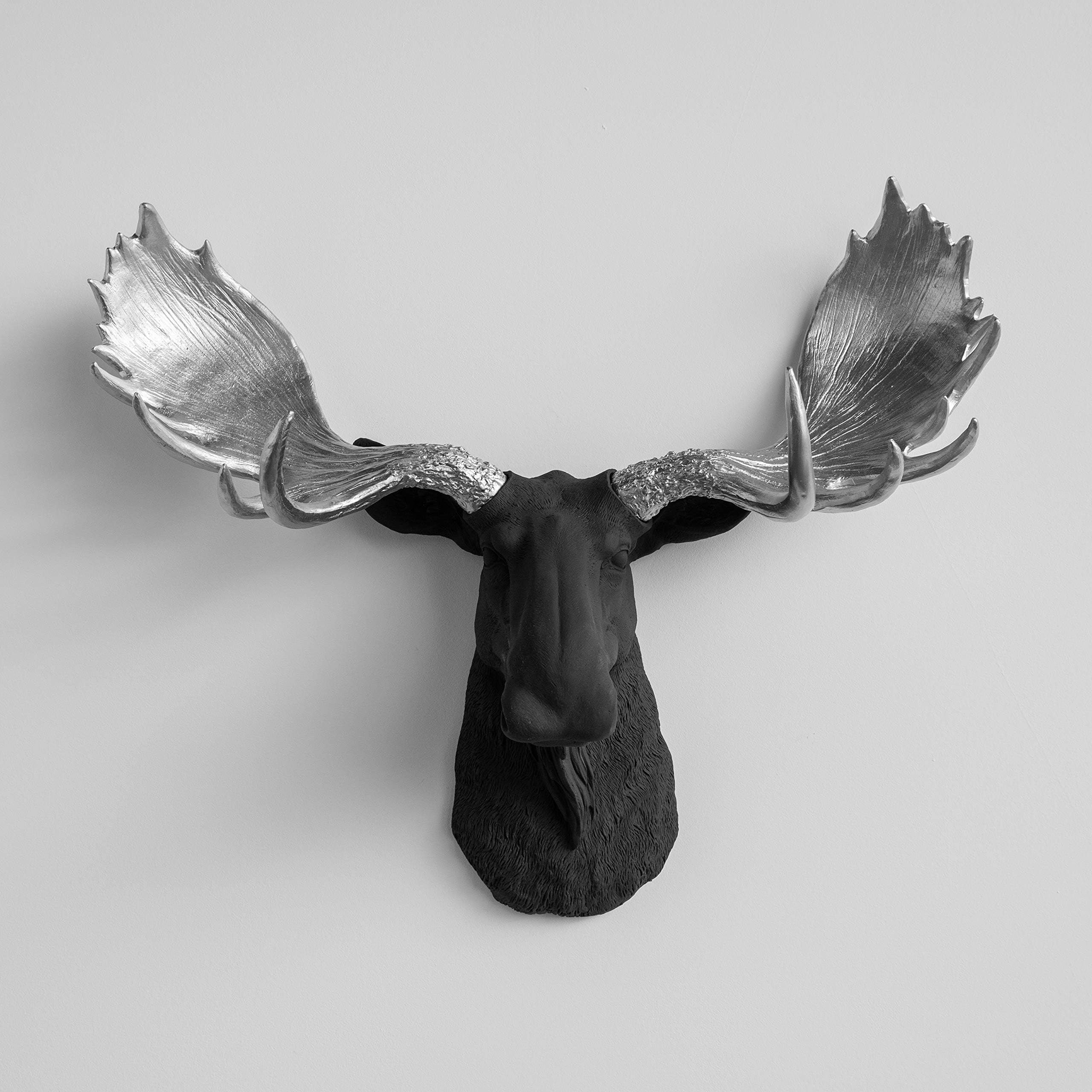 Amazon.com: DARICE JCD1995-31 Resin Moose Head with Antlers : Home ...