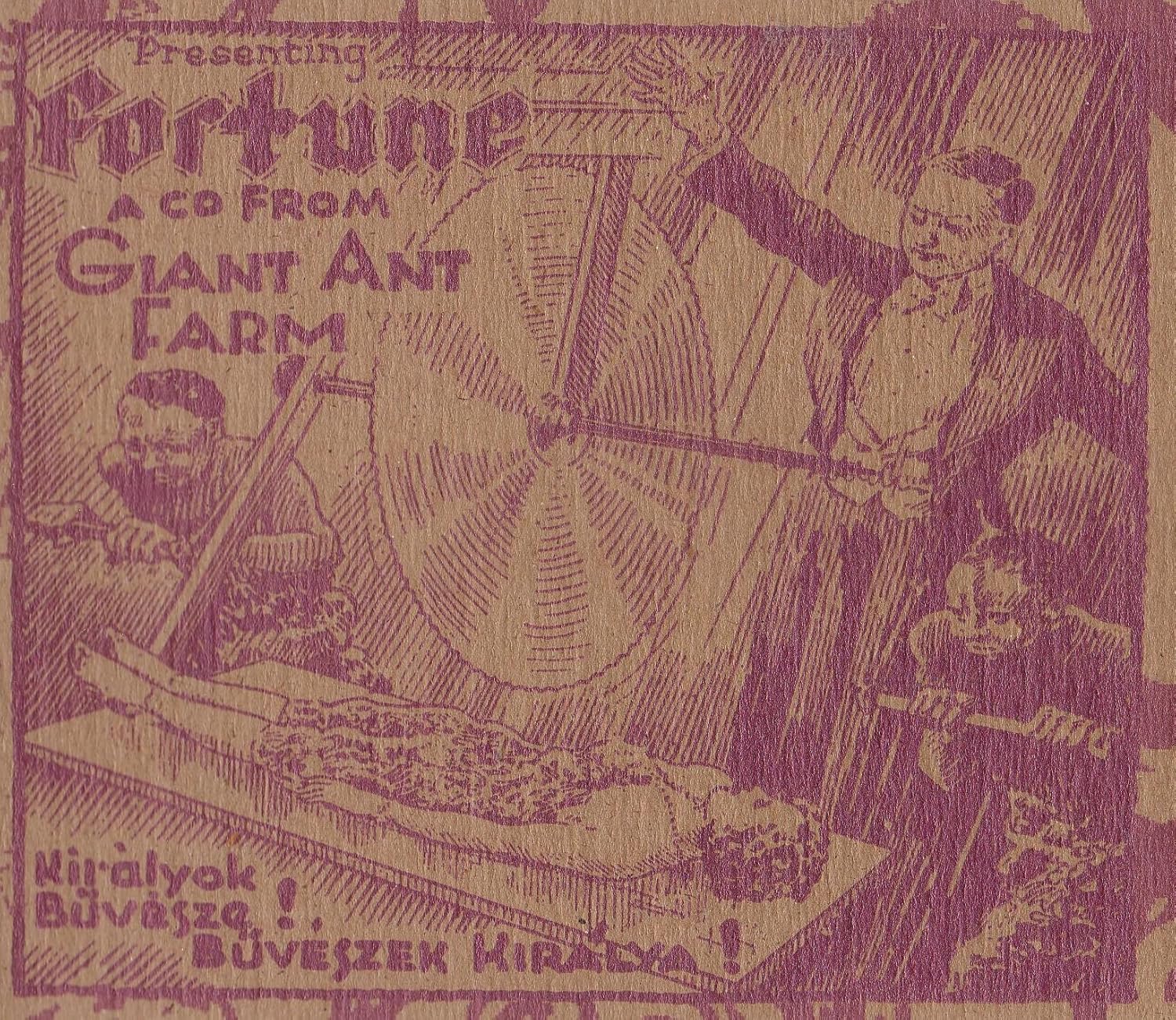 Giant Ant Farm - Fortune - Amazon.com Music