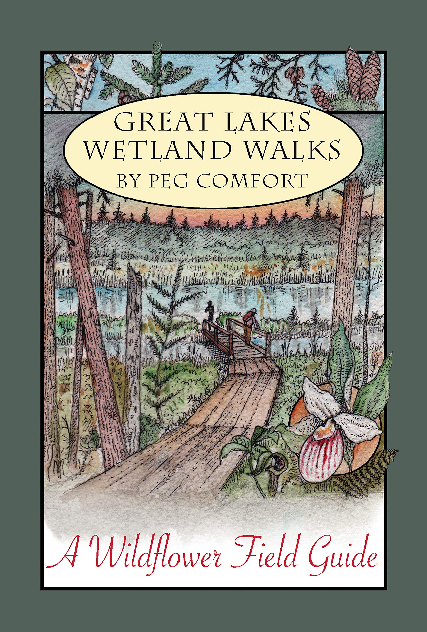 Great Lakes Wetland Walks: A Wildflower Field Guide: Peg Comfort ...