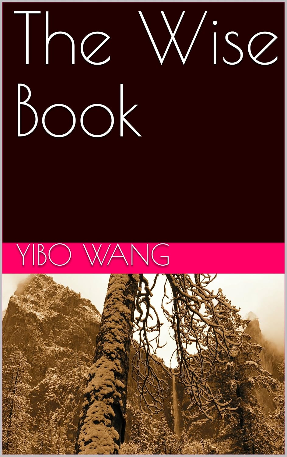 Amazon.com: The Wise Book eBook : Wang, Yibo, Tseng, Chris: Kindle Store