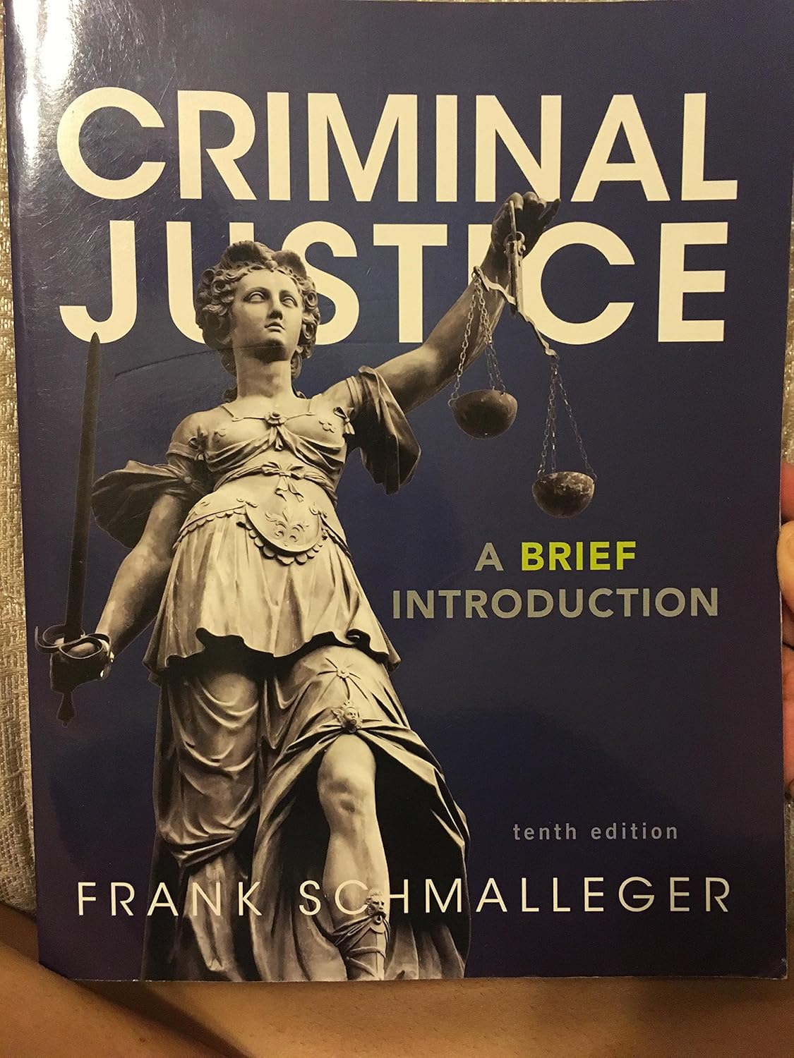 Criminal Justice: A Brief Introduction (10th Edition): Schmalleger ...