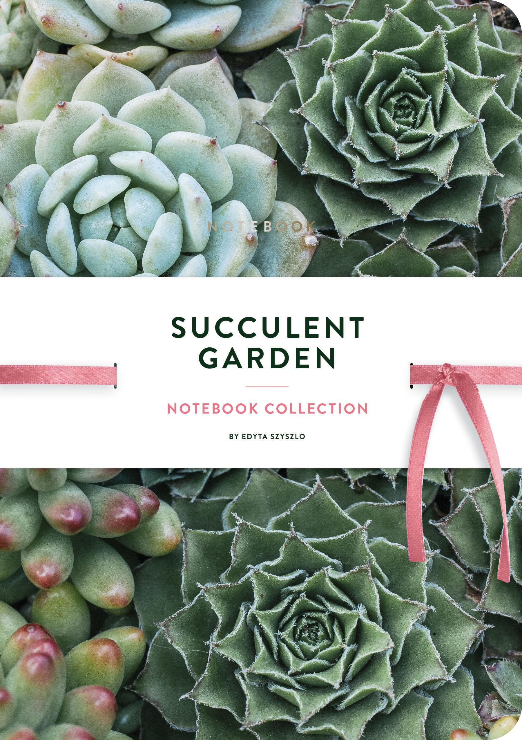 Amazon.com : Succulent Garden Notebook Collection : Office Products