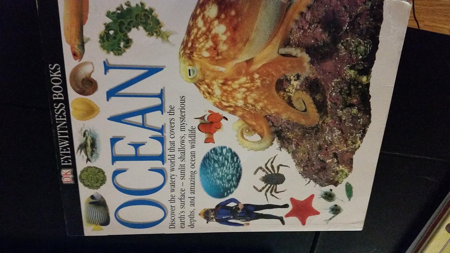 OCEAN (DK Eyewitness Books): Macquitty, Miranda: 9780789460356: Amazon ...