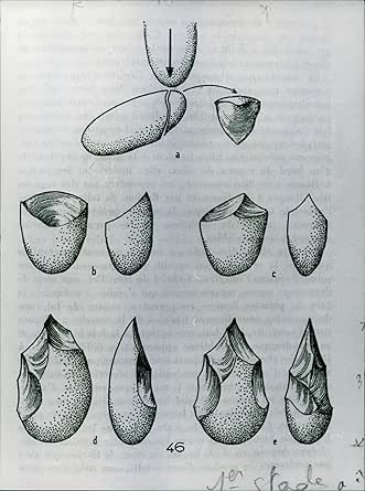 Amazon.com: Vintage photo of Flintstone tools from the Neanderthal ...