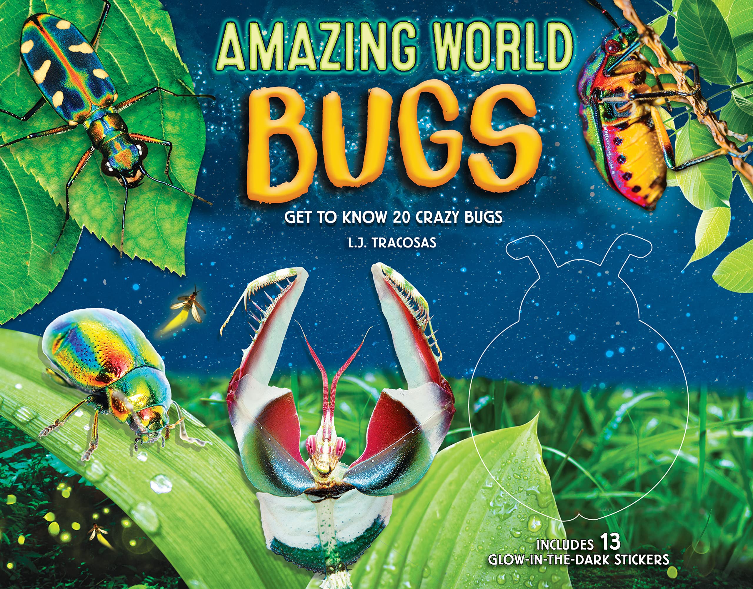 Amazing World: Bugs: Get to know 20 crazy bugs (Volume 1) (Amazing ...