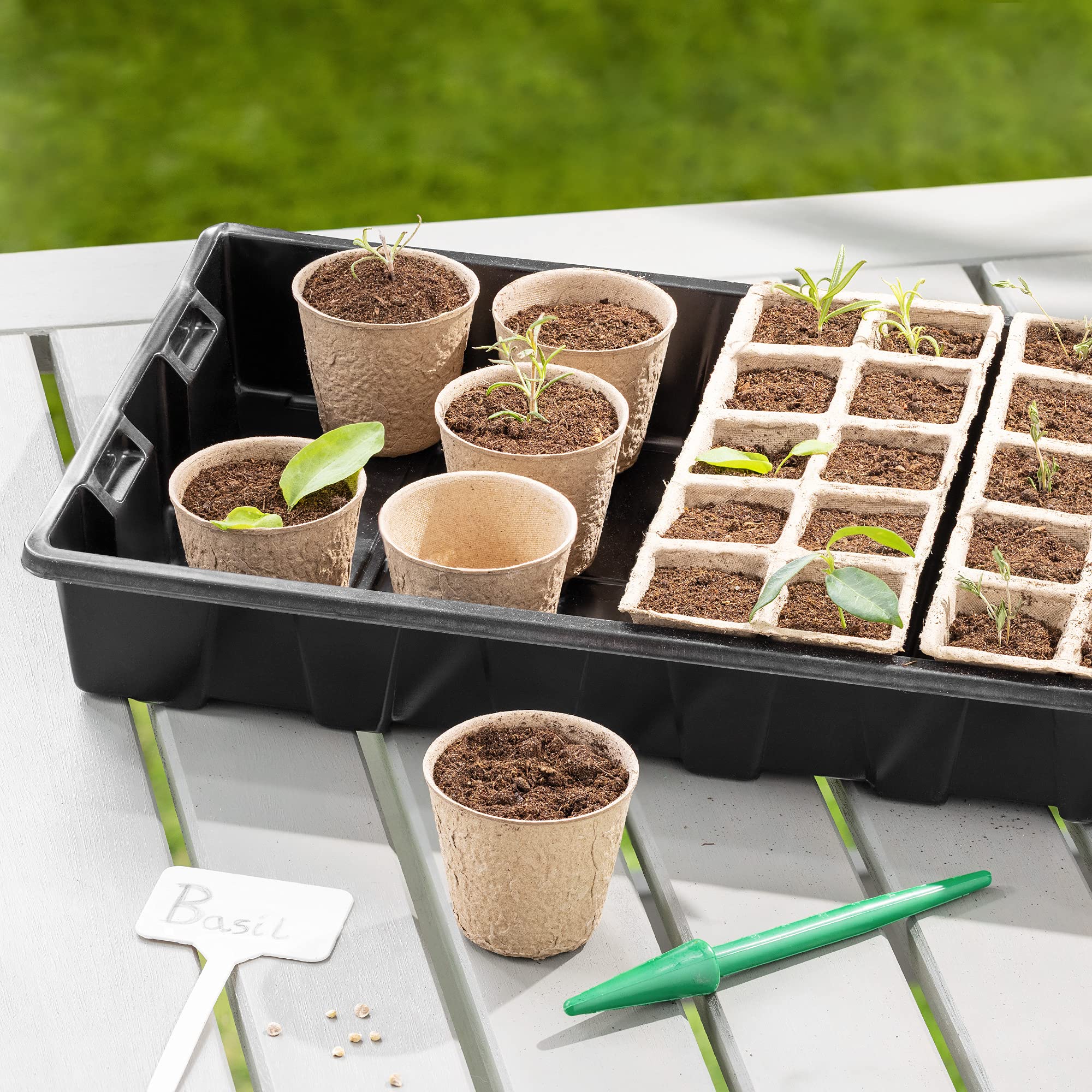 Complete Propagation Kit
