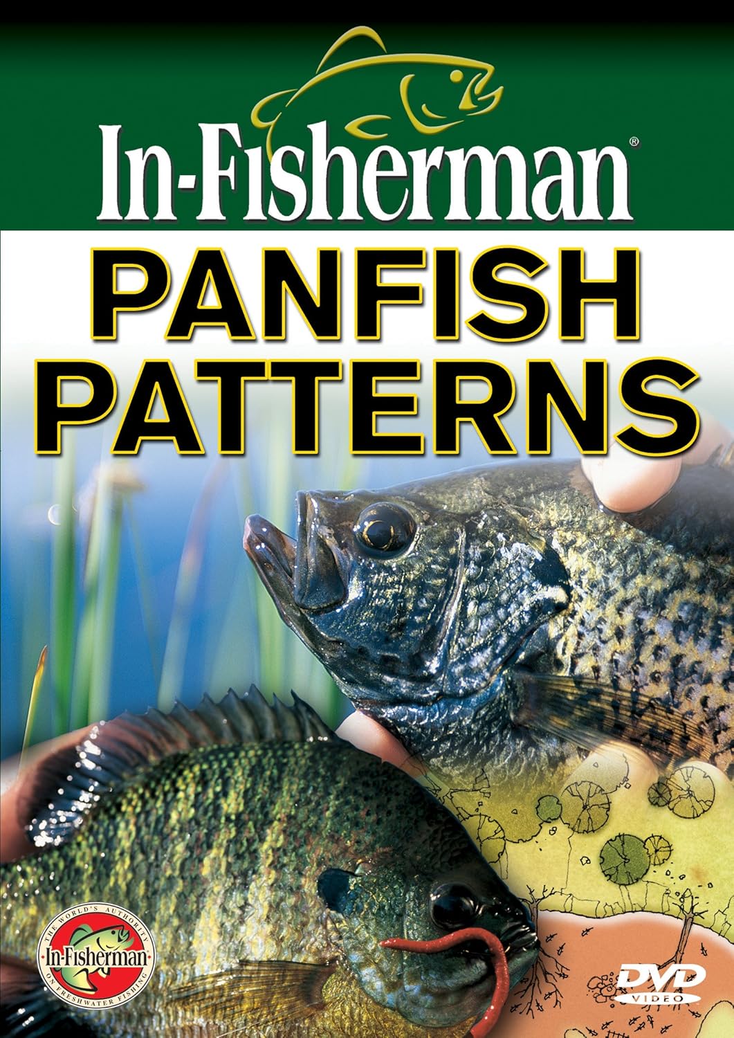 Amazon.com: In-Fisherman Panfish Patterns DVD : In-Fisherman Staff, In ...
