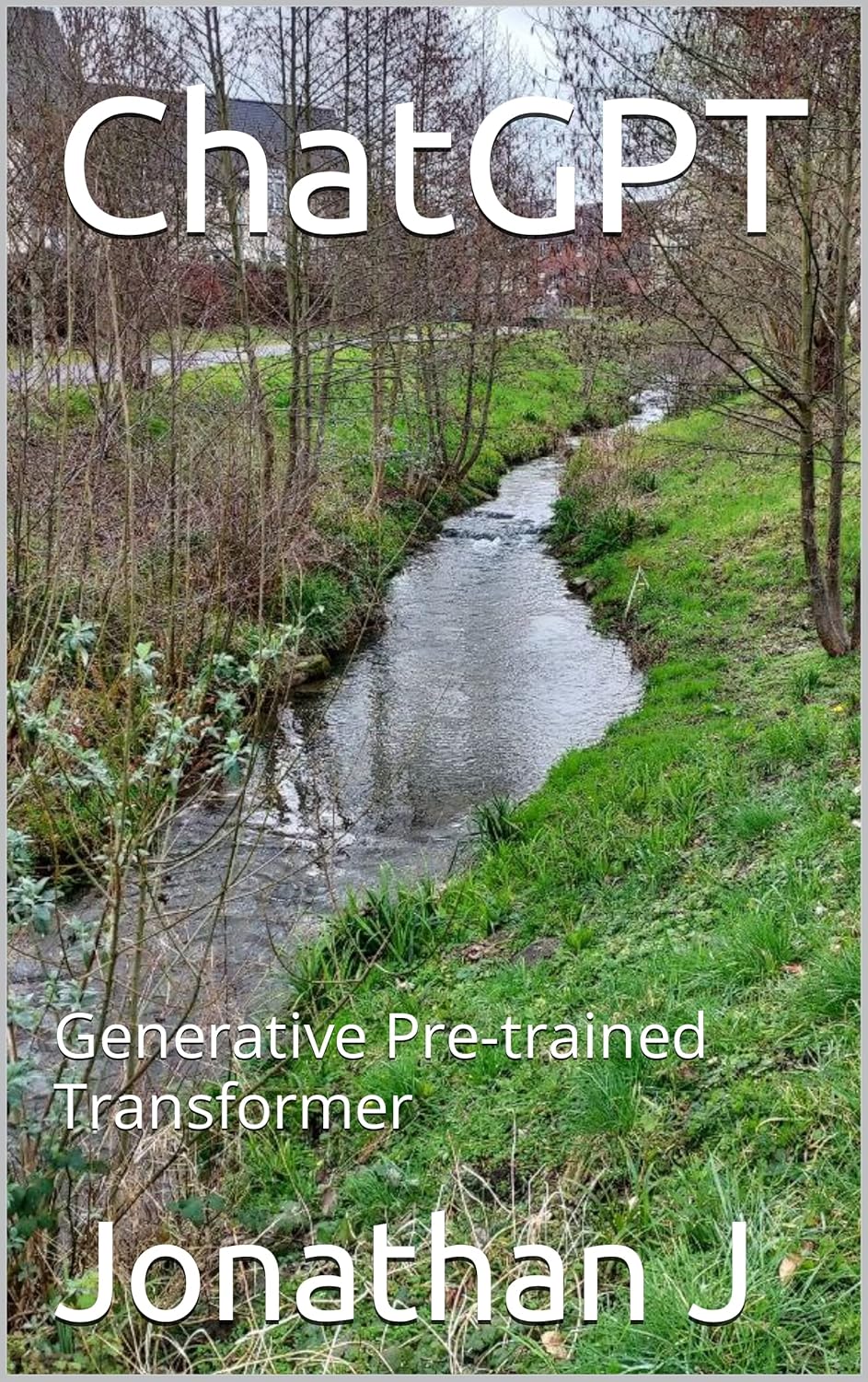Amazon.com: ChatGPT: Generative Pre-trained Transformer eBook : J ...