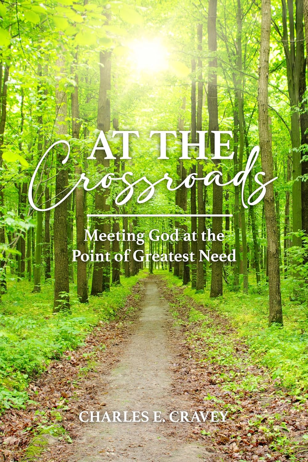 At the Crossroads: Meeting God at the Point of Greatest Need - Kindle ...
