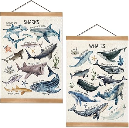 Amazon.com: ZTGDA Sharks and Whales Posters, Sea Animals Shark Posters ...