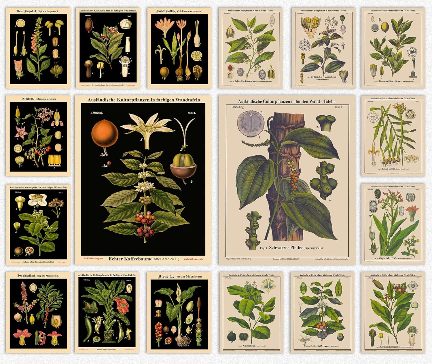 Amazon.com: Wallbuddy Botanical Wall Art Set of 9 Posters | Herbology Poster Unframed Wall Art ...