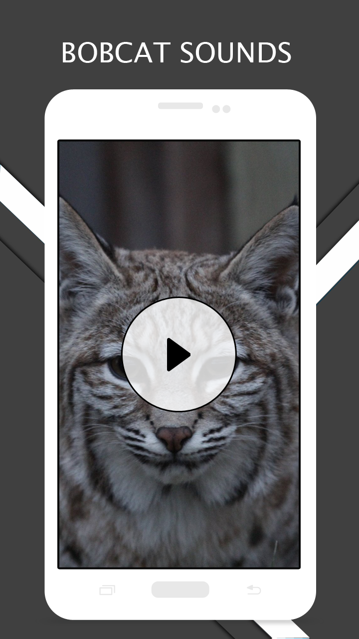 Bobcat Sounds And Ringtones - App on Amazon Appstore