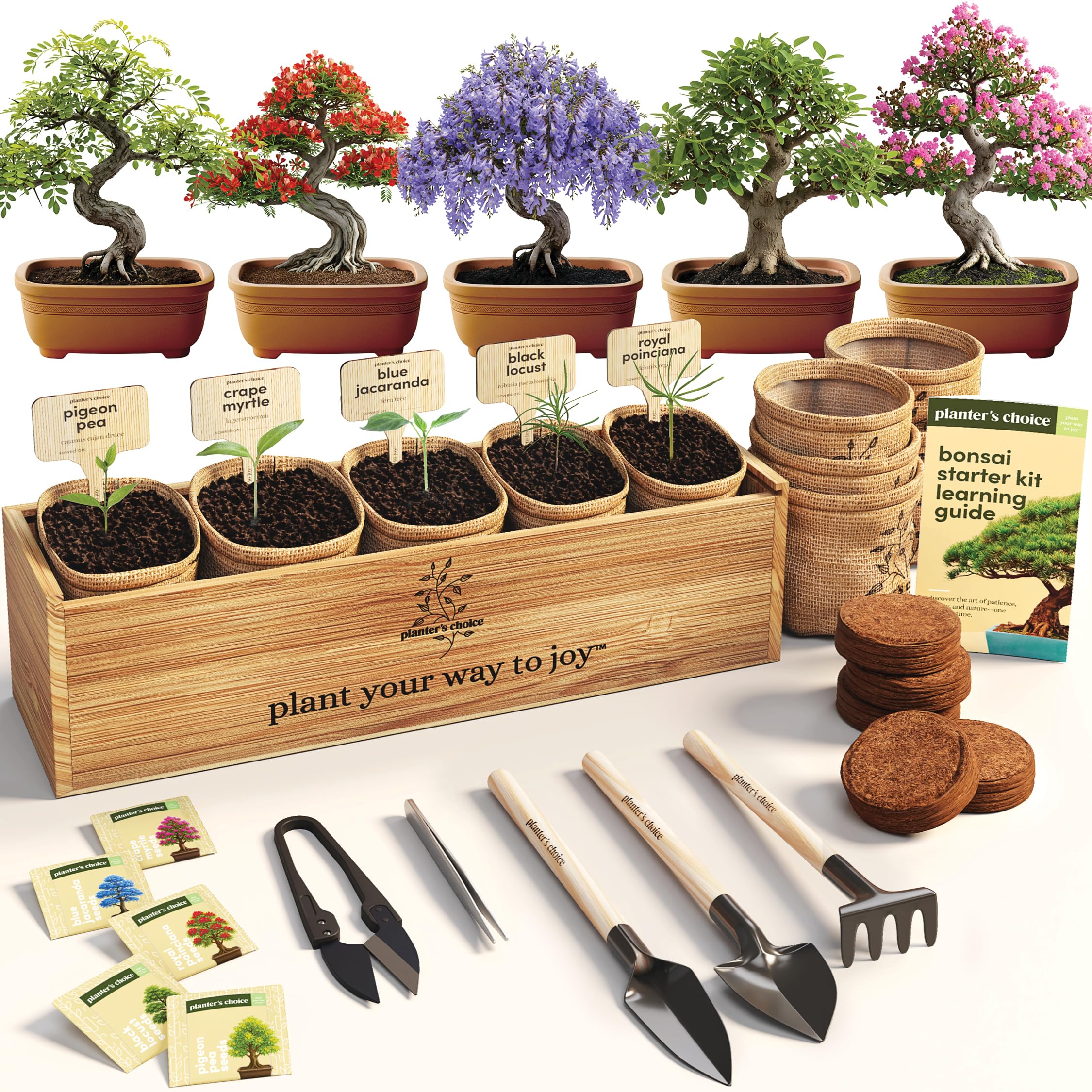 Bonsai Tree Bonsai Starter Kit - Complete Growing Kit With 4 Tree Types ...