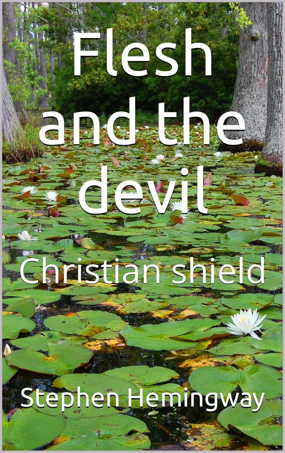 Flesh and the devil: Christian shield eBook : Hemingway, Stephen ...