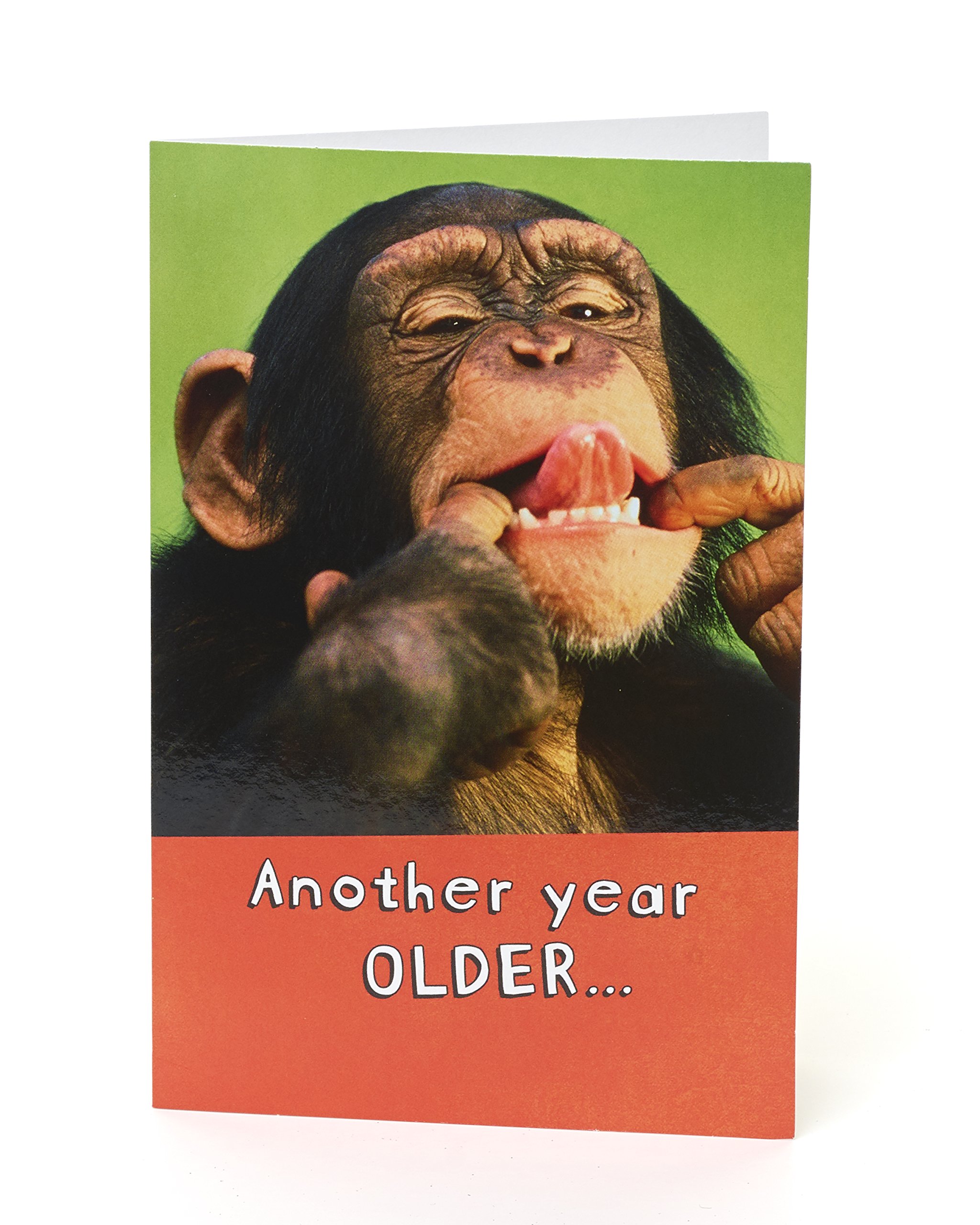 Buy UK Greetings Funny Birthday Card Monkey Birthday Card Funny buy-uk-greetings-funny-birthday-card-monkey-birthday-card-funny