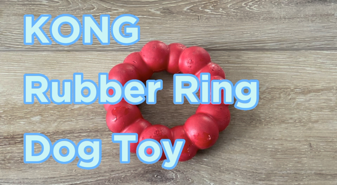 Watch KONG Rubber Ring Dog Toy - Durable for dogs that love to chew on ...