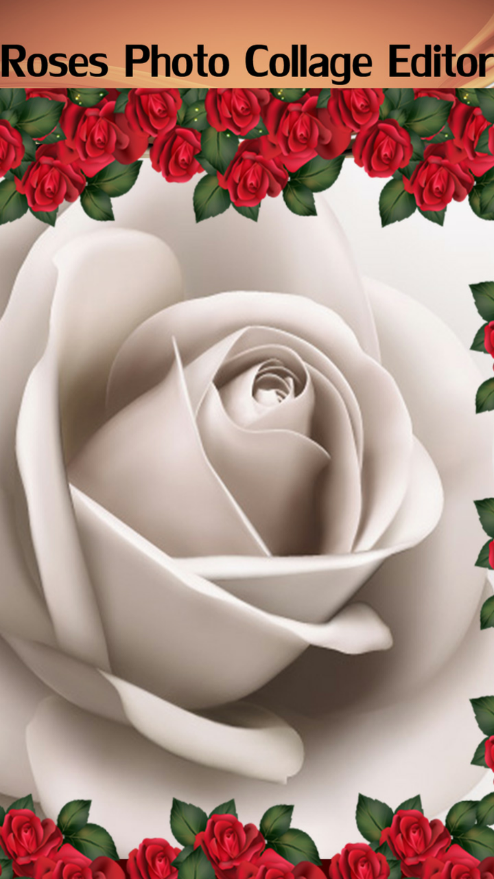 Roses Photo Collage Editor - App on Amazon Appstore