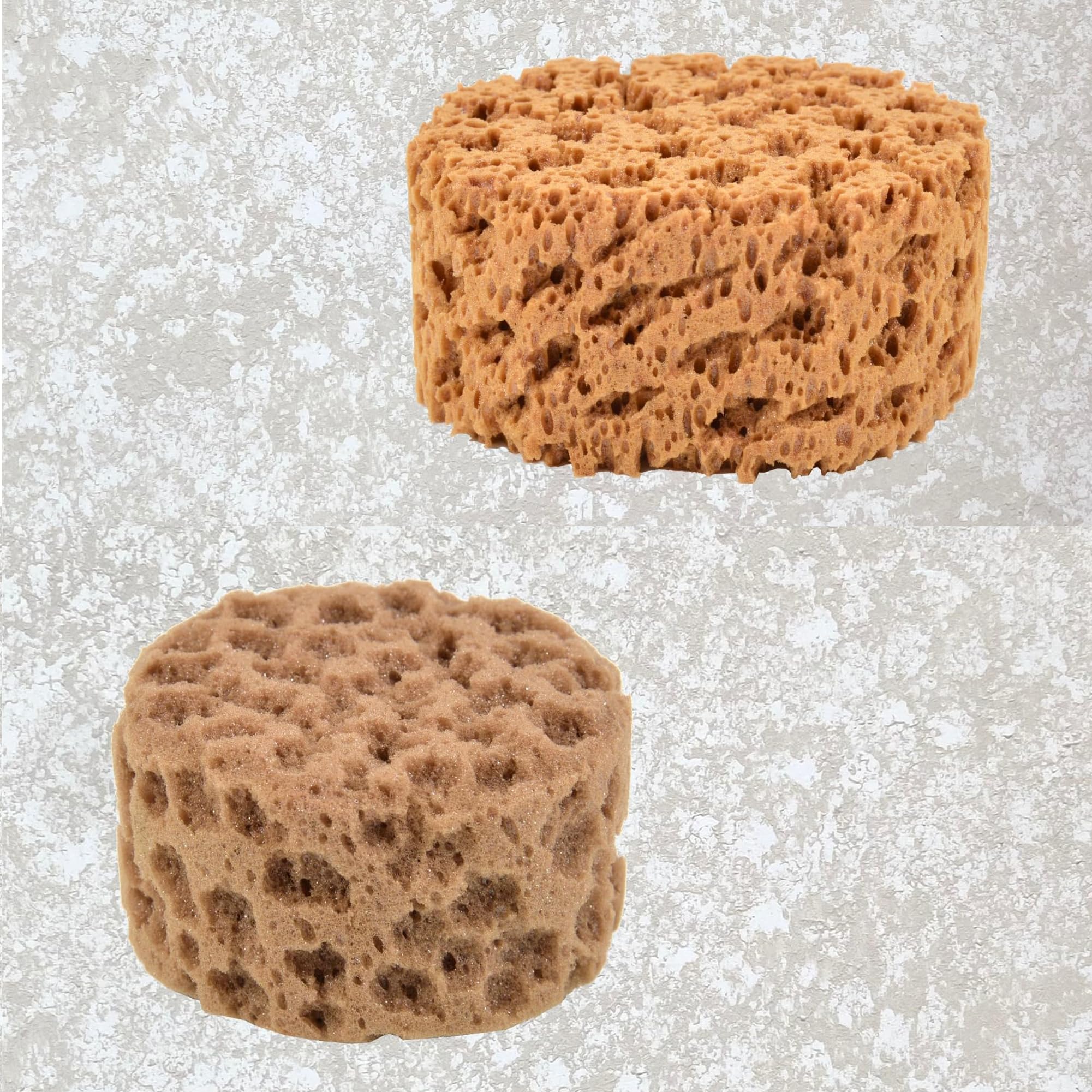 Amazon.com: Hanroy Large Sea Sponges for Artists Unbleached 2pc Value ...