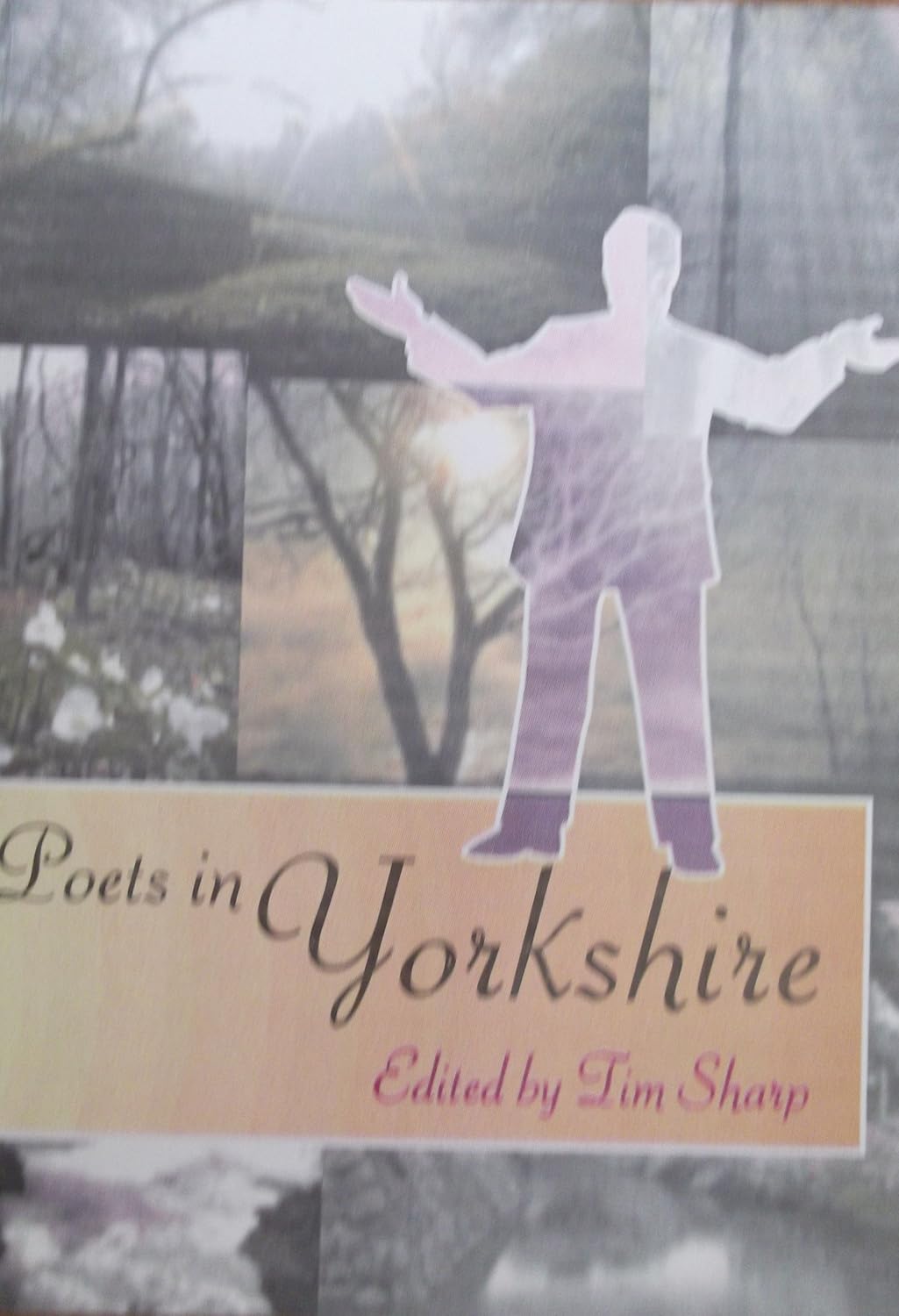 Poets in Yorkshire: Sharp, Tim: 9781857864151: Amazon.com: Books