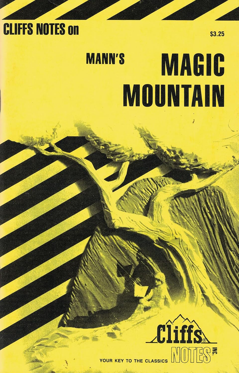 Amazon.com: Cliffsnotes Magic Mountain: 9780822007890: Czermak ...