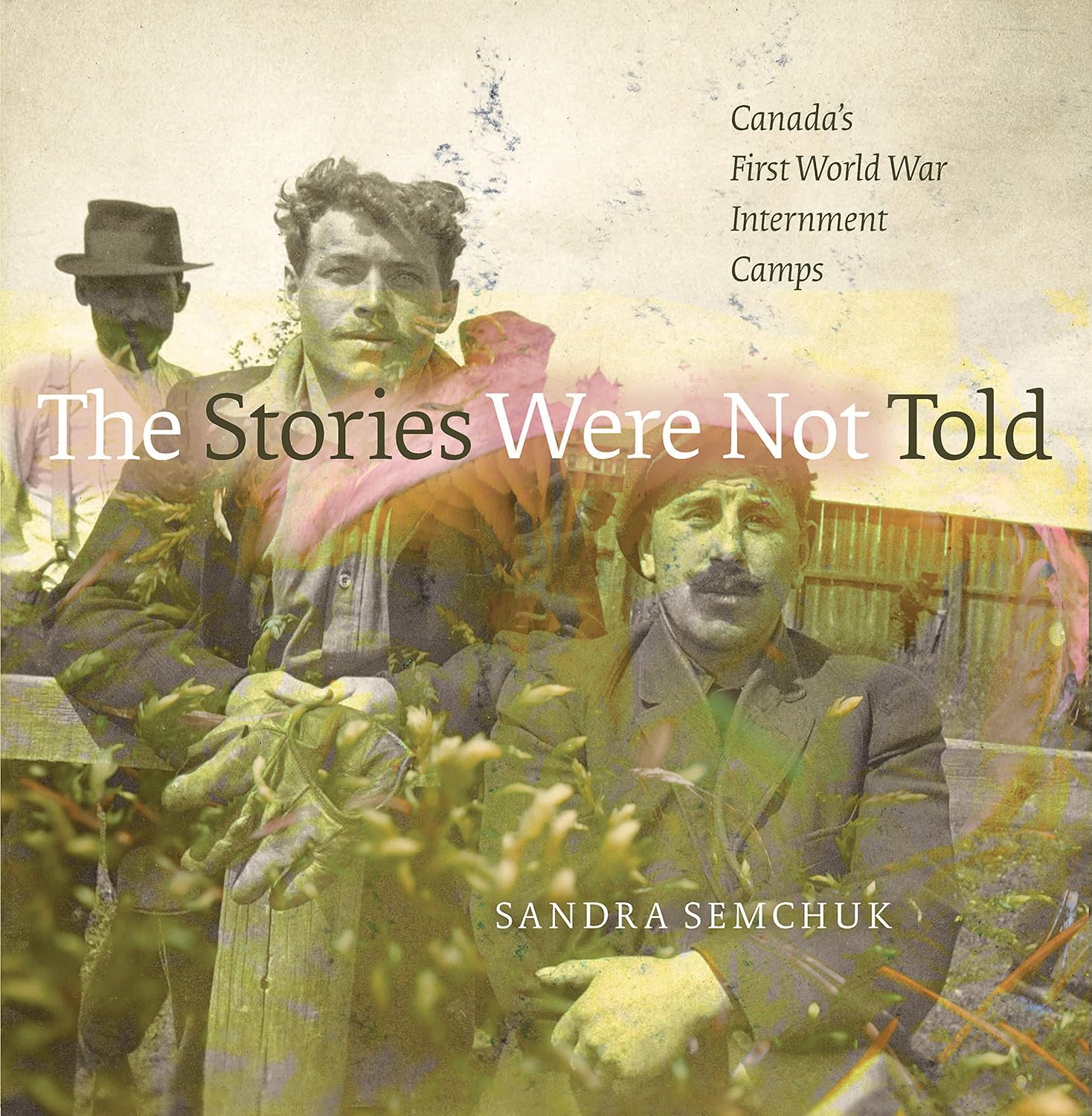 Amazon.com: The Stories Were Not Told: Canada’s First World War ...