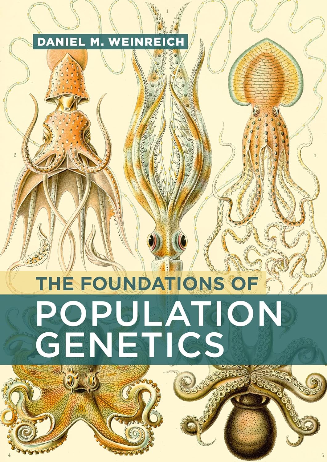 The Foundations of Population Genetics eBook : Weinreich, Daniel M ...