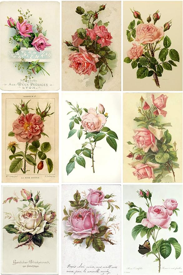 Amazon.com: Vintage French Roses #2 Collage Sheet 8.5 x 11"