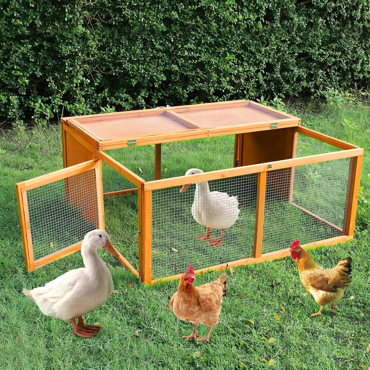 Amazon.com: Lifeand Wooden Chicken Coop, Portable and Foldable Chicken ...