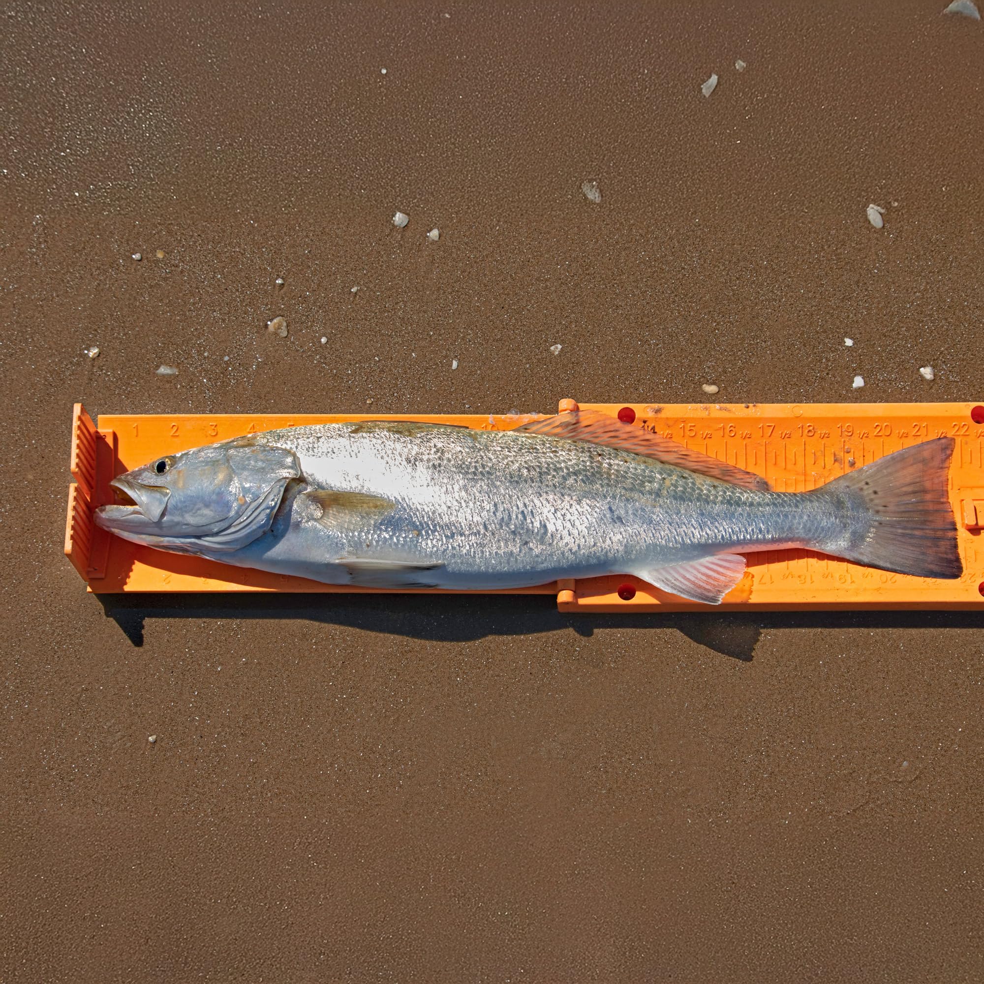 Snapklik.com : YakGear The Fish Stik