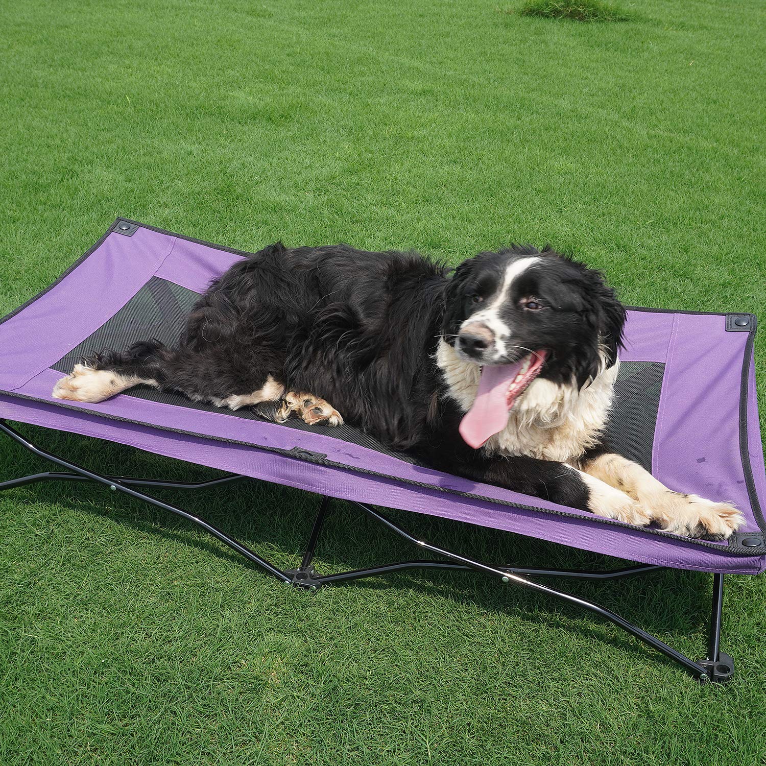 YEP HHO 47 Inches Long Elevated Folding Pet Bed Cot Travel Portable ...