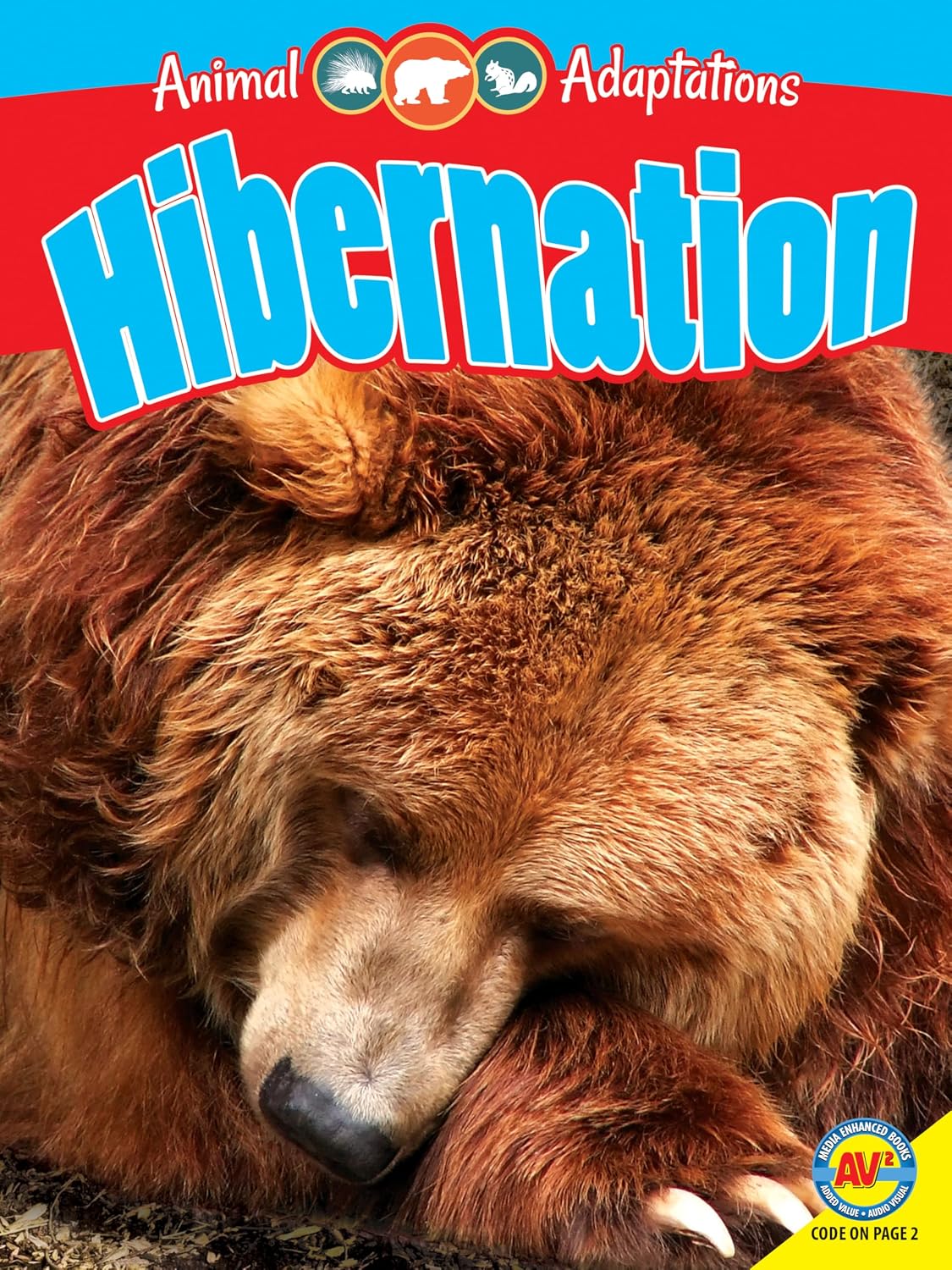 Hibernation (Animal Adaptations): McDowell, Pamela: 9781489636768 ...