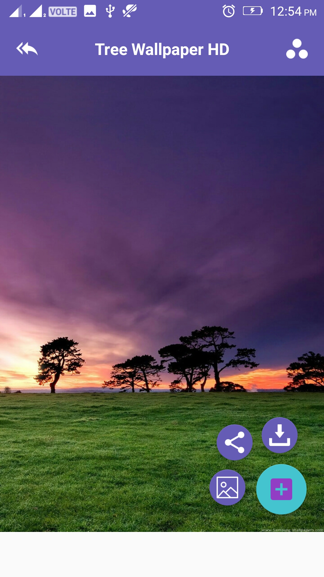 Tree 4K Wallpaper - App on Amazon Appstore