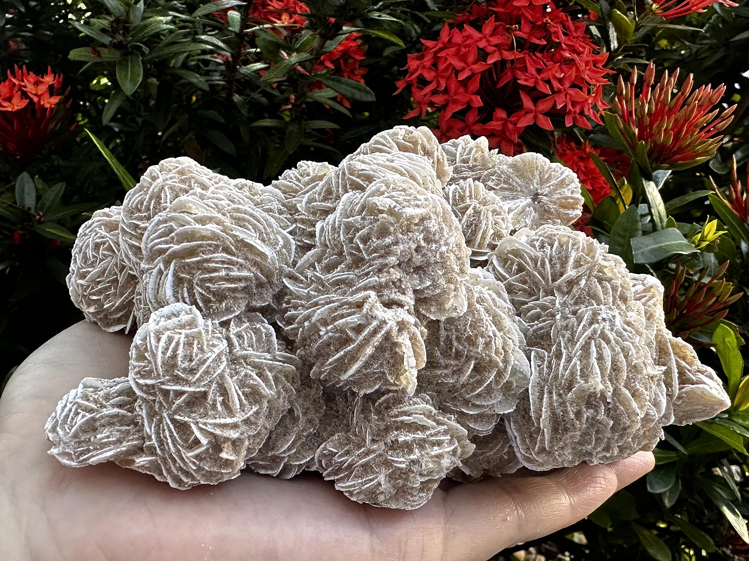 Large Desert Rose Cluster, Natural Desert Rose Selenite Stones, Desert ...