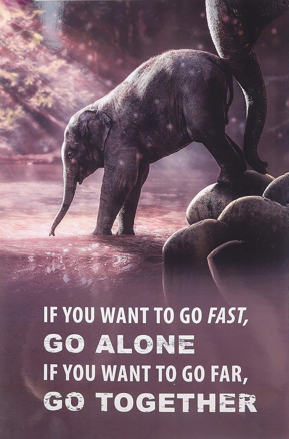 Amazon.com: Inspirational Wall Art 12 X 18 Motivational Quote for ...