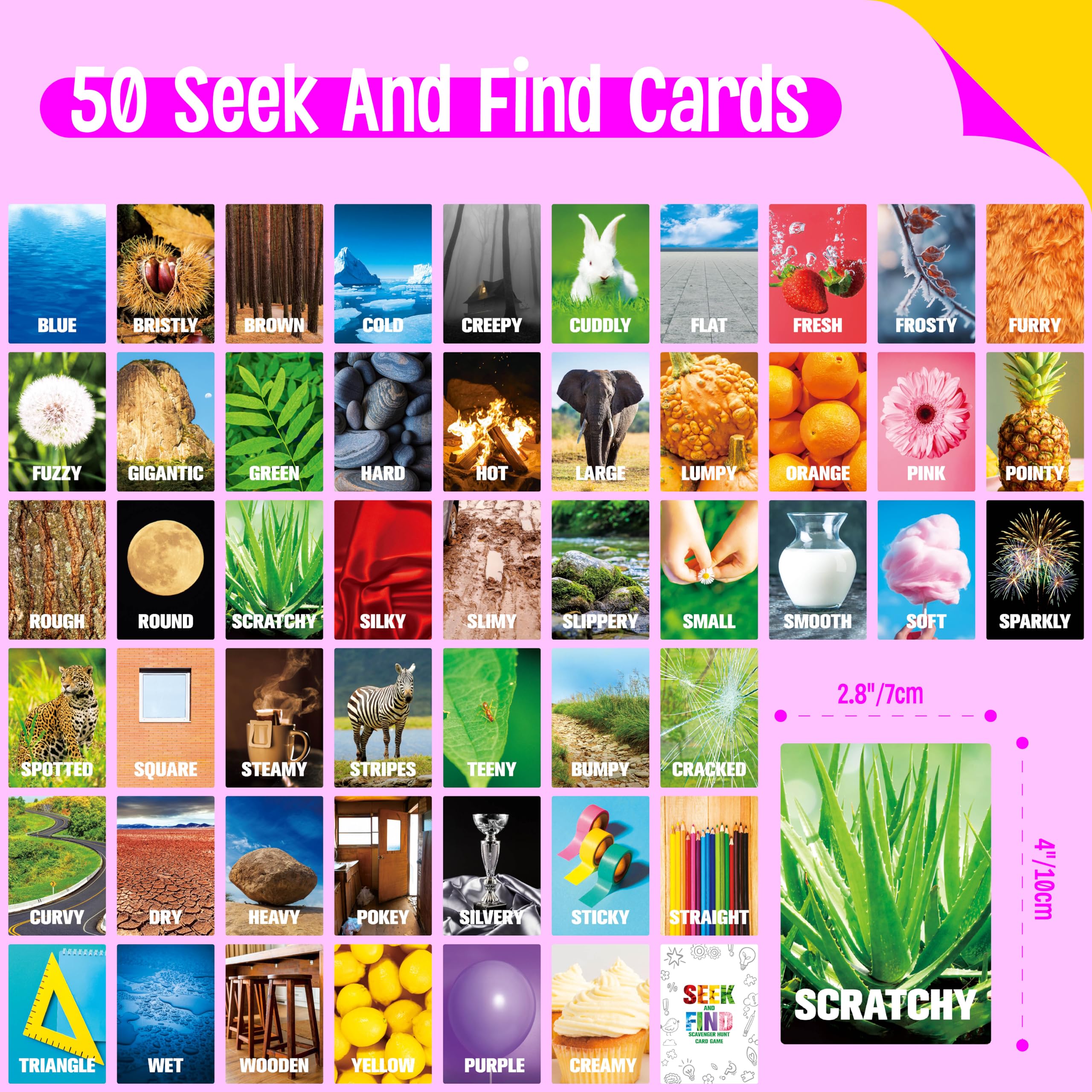 Snapklik.com : Seek And Find Scavenger Hunt Card Game, 50 Seek And Find ...