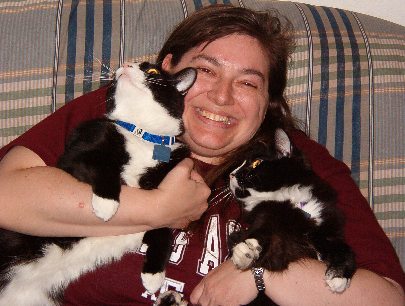 Amazon.com: Kisa Kampfer: books, biography, latest update