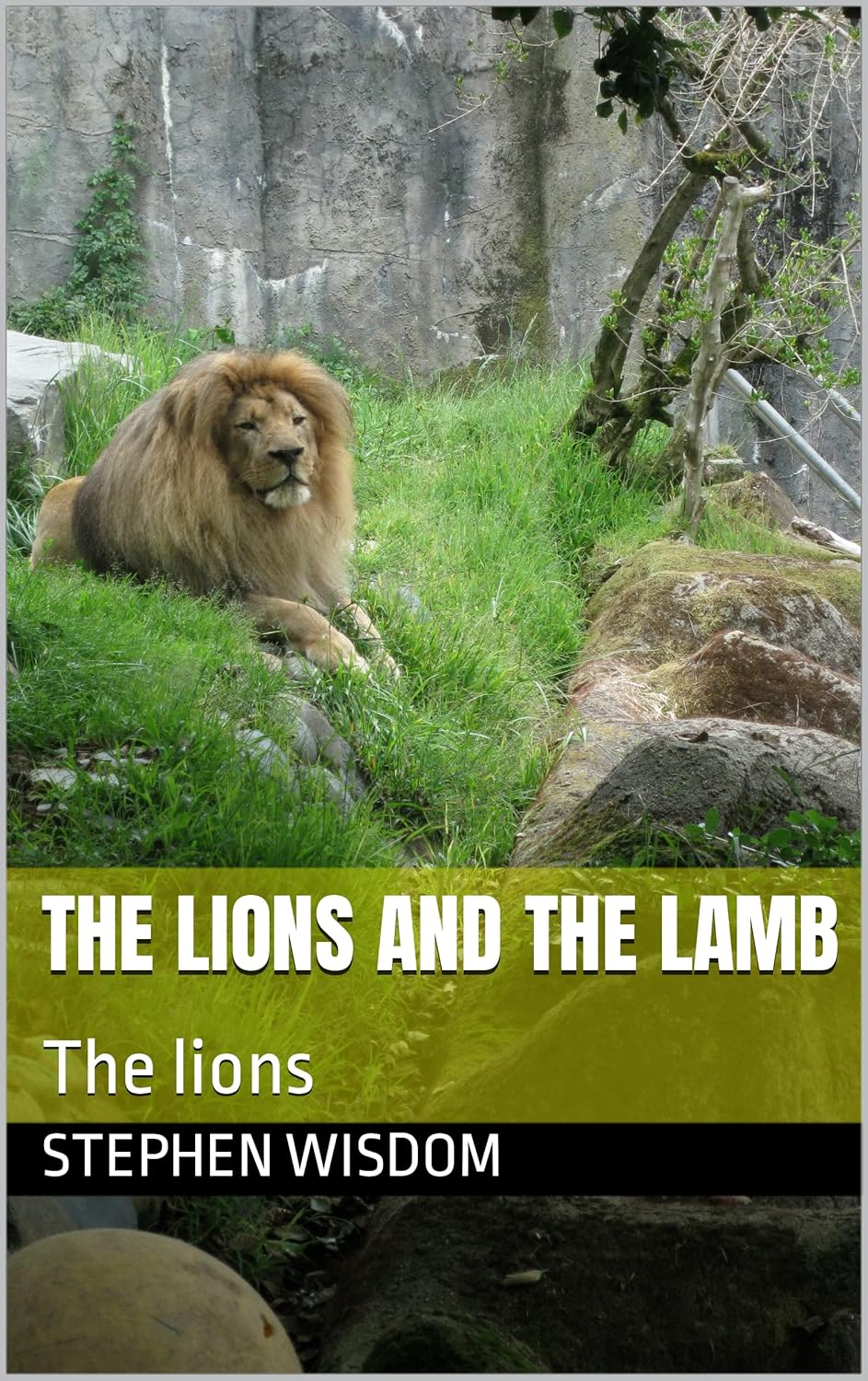 The lions and the lamb : The lions (English Edition) eBook : Wisdom ...