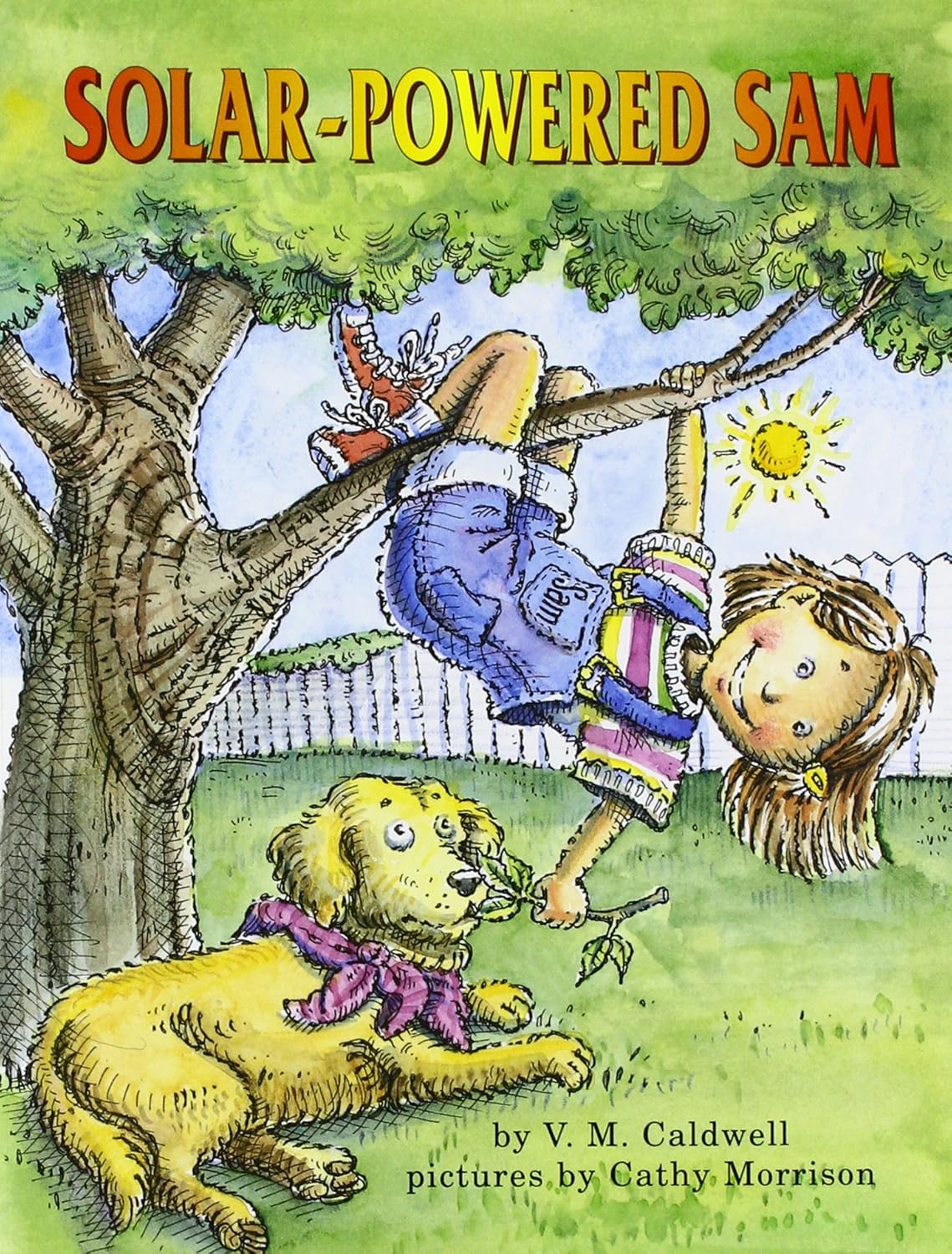 Solar-Powered Sam (Books for Young Learners): V. M Caldwell ...