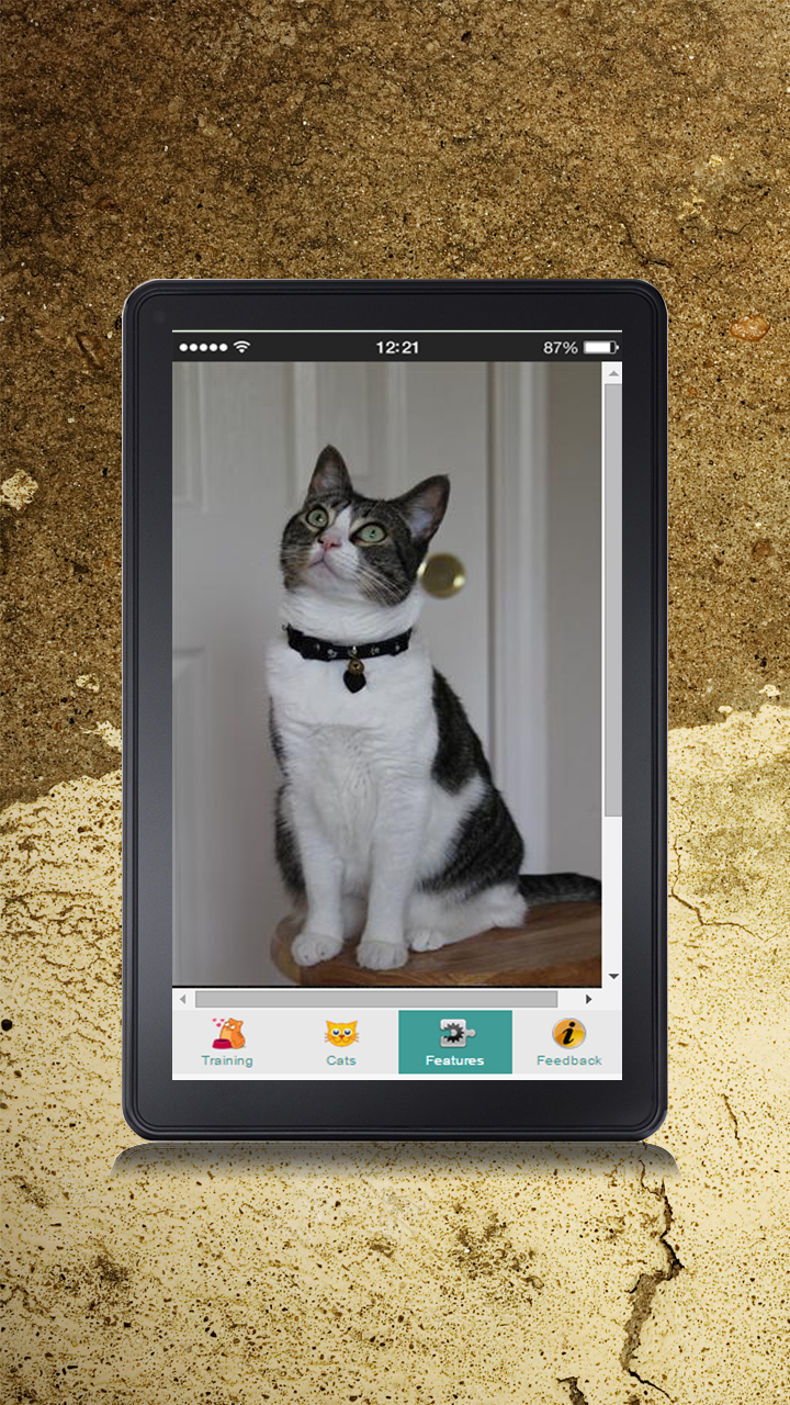 Cat Training - App on Amazon Appstore