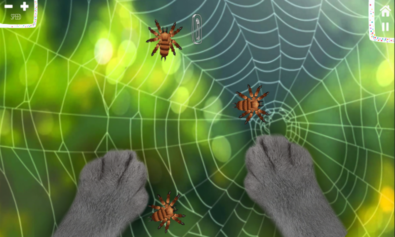 The Cat Games - App on Amazon Appstore