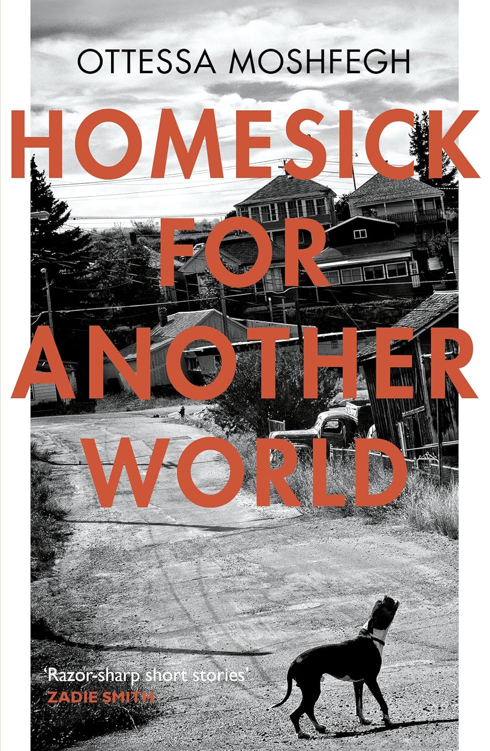 Amazon.com: Homesick For Another World: 9781784701505: Moshfegh ...