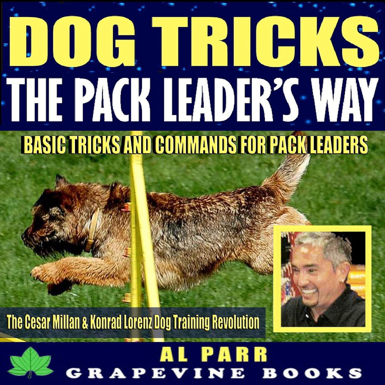 Amazon.com: Dog Tricks the Pack Leader's Way!: (Basic Tricks and ...