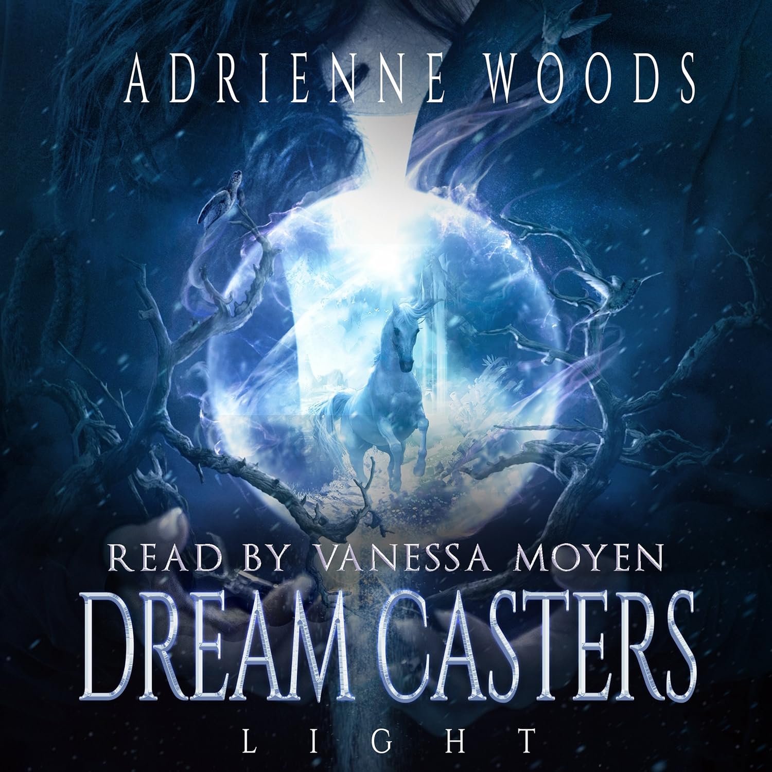 Amazon.com: Dream Casters: Light: Dream Casters Series, Book 1 (Audible Audio Edition): Adrienne ...