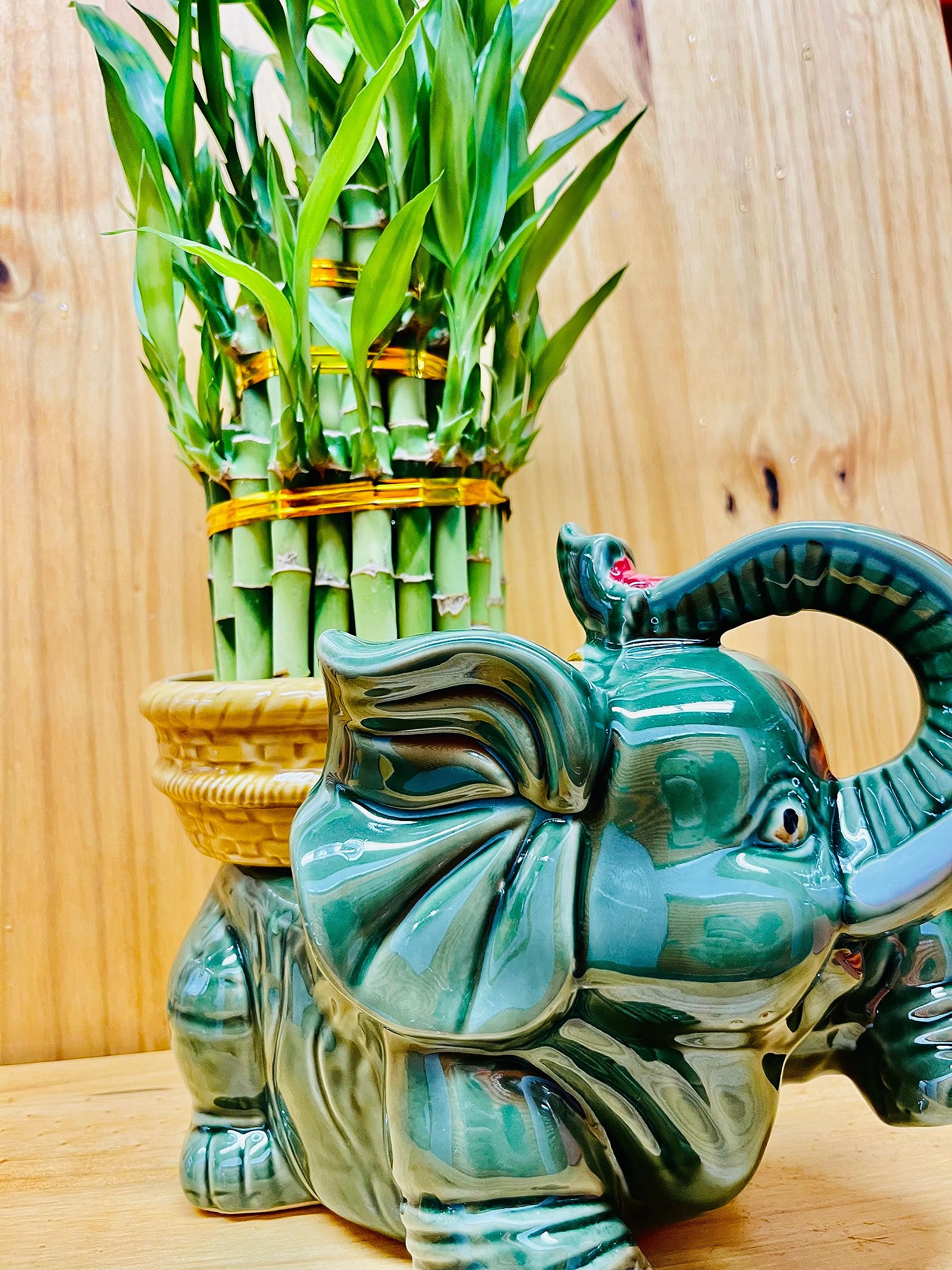 Elephant Bamboo