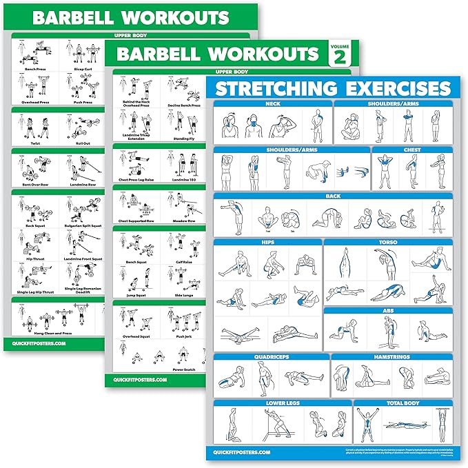 Palace Learning 3 Pack - Barbell Workout Posters Volume 1 & 2 ...