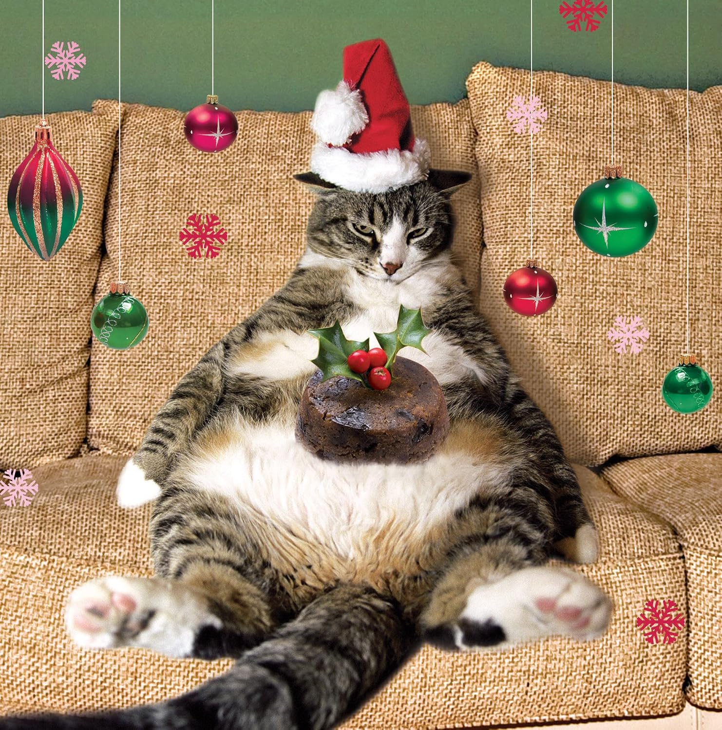 Fat Cat in Santa Hat on Sofa with Festive Pudding - Pack of 5 Charity ...