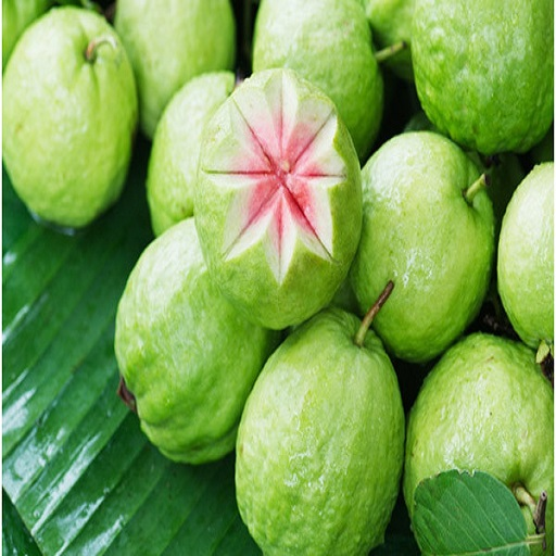 GUAVA Fruit Application - App on Amazon Appstore