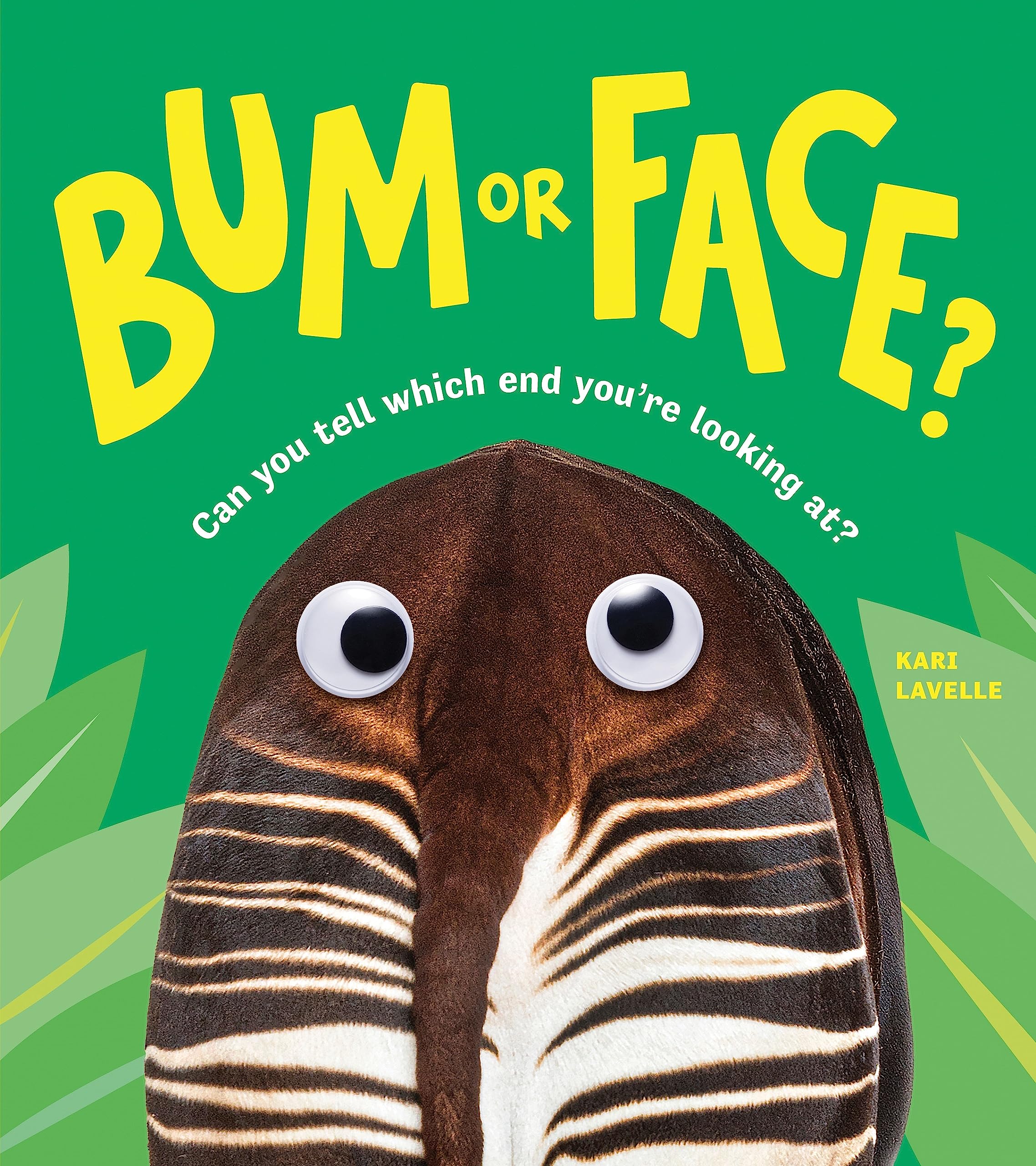Bum or Face: Amazon.co.uk: Lavelle, Kari: 9781728292908: Books