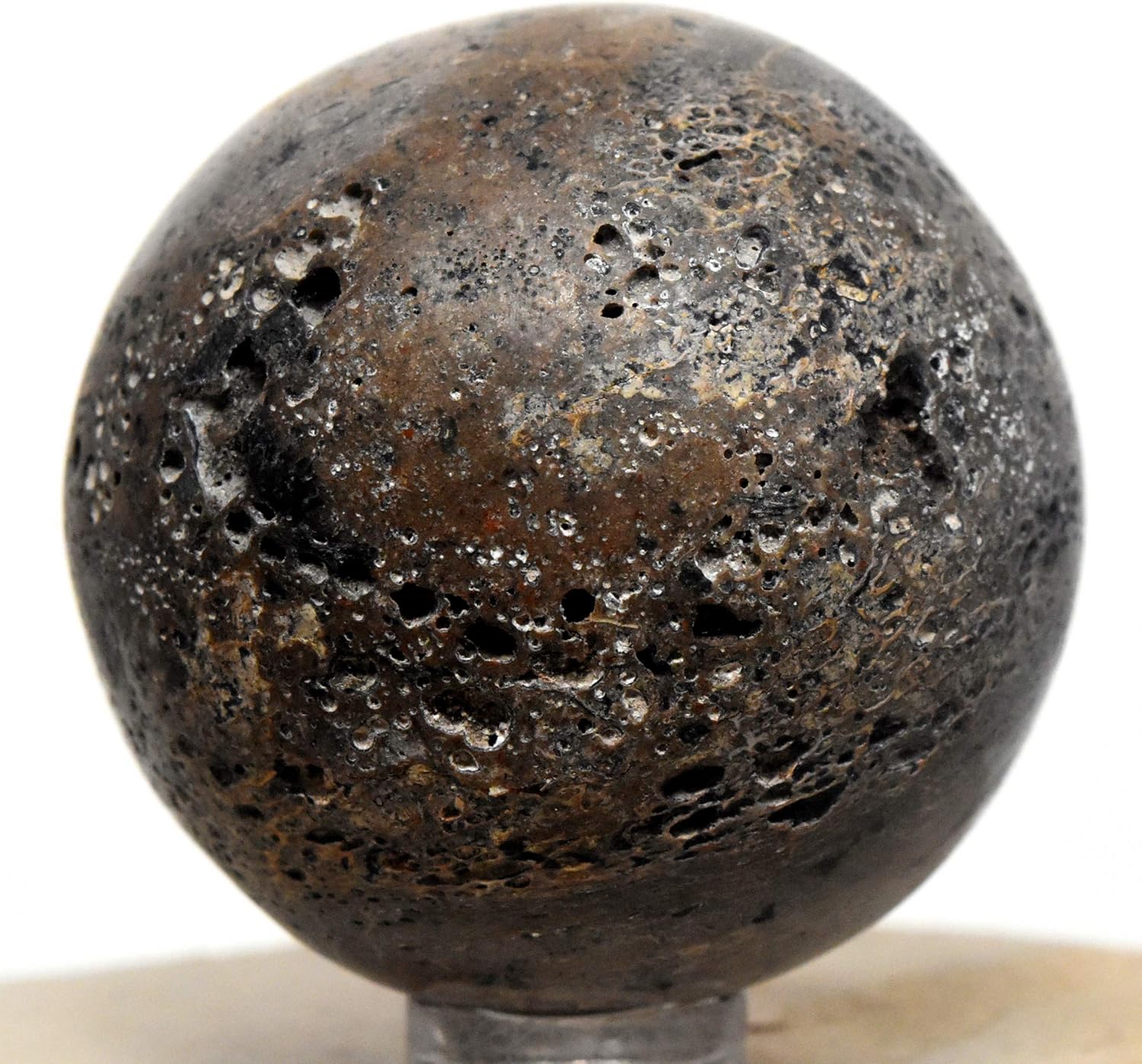 Amazon.com: HQRP-Crystal 47mm 110g Dinosaur Fossil Bone w/Lot of ...